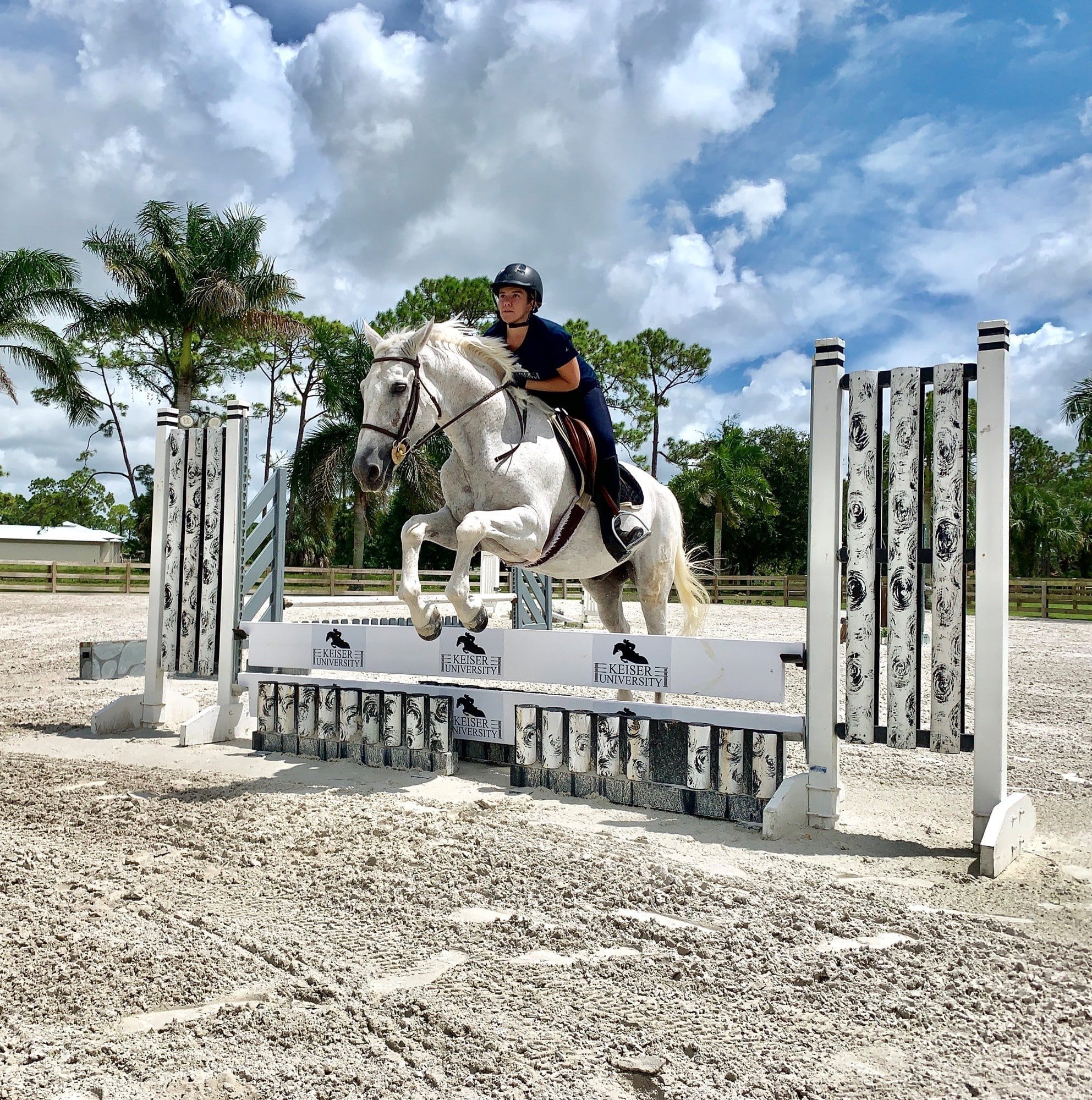 Biomedical Sciences, BS (Equine Studies) - Keiser University